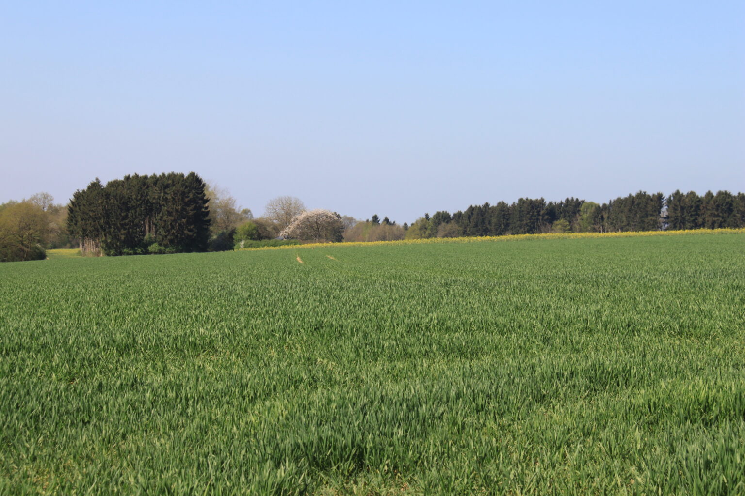 Crushing of materials in the green zone | Demokratesch Partei